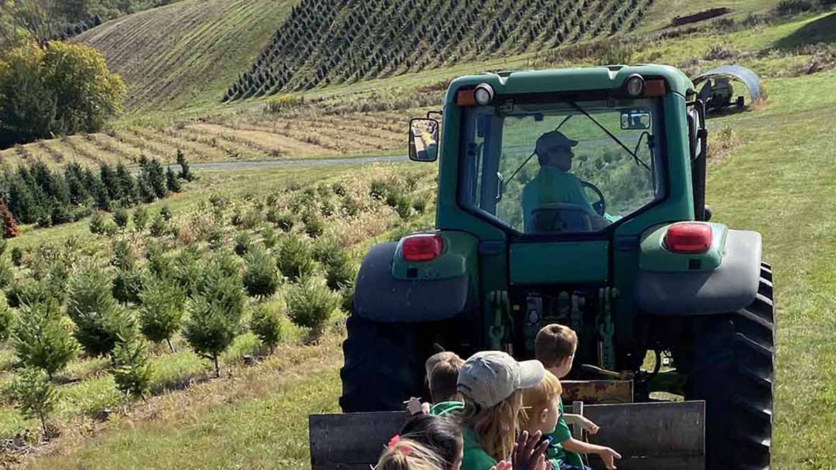 Field Trips - McCurdy's Farm